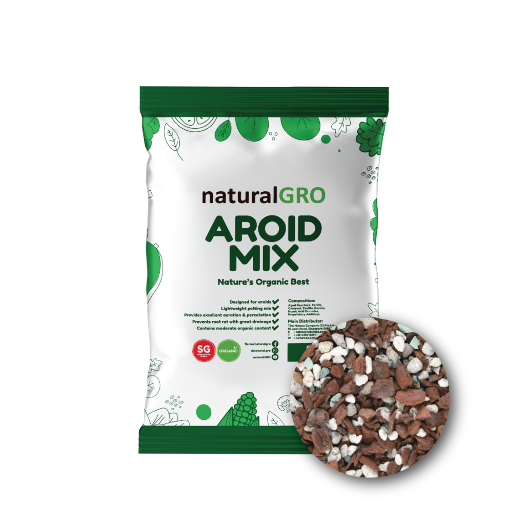 naturalGRO Aroid Mix – The Nature Company