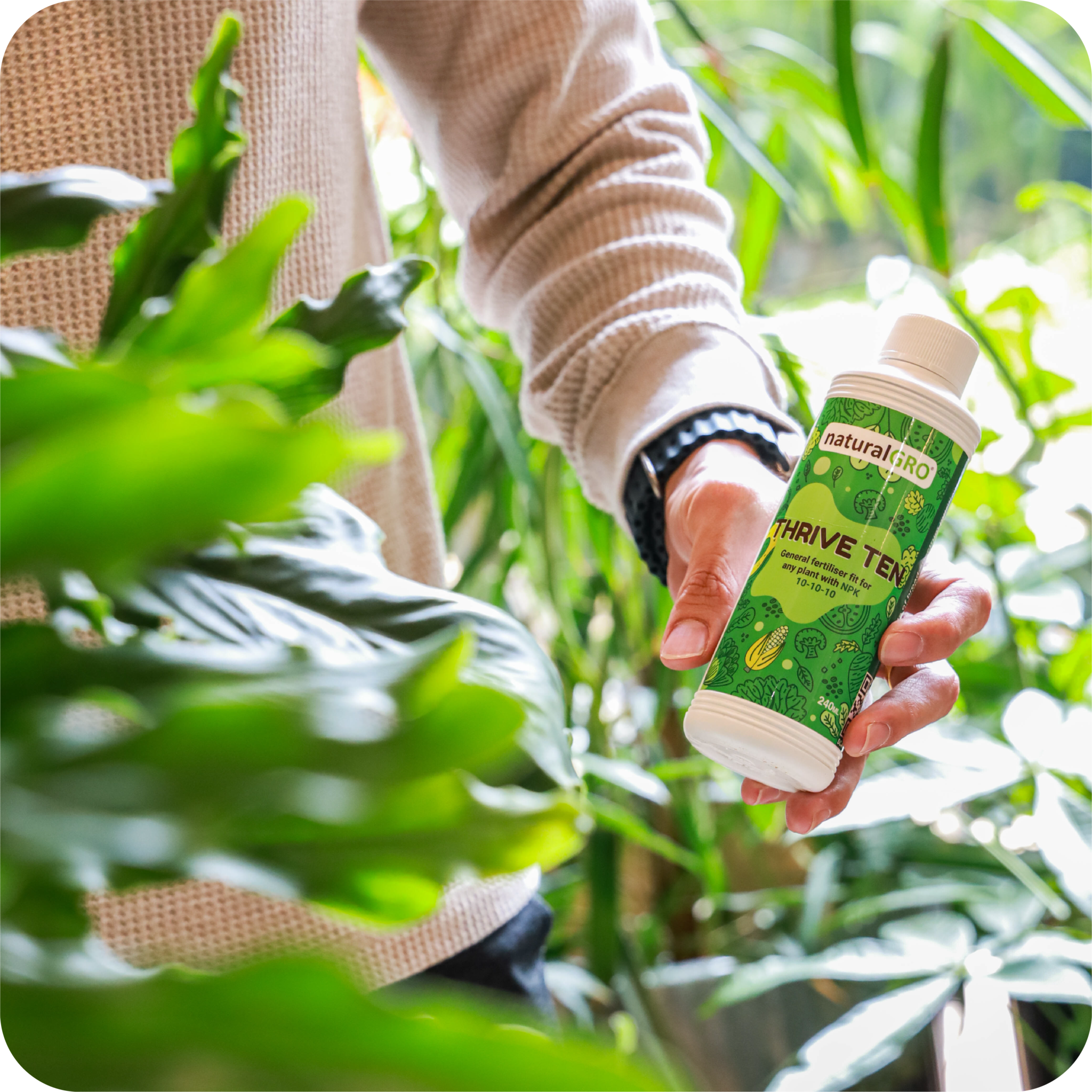 The Nature Company