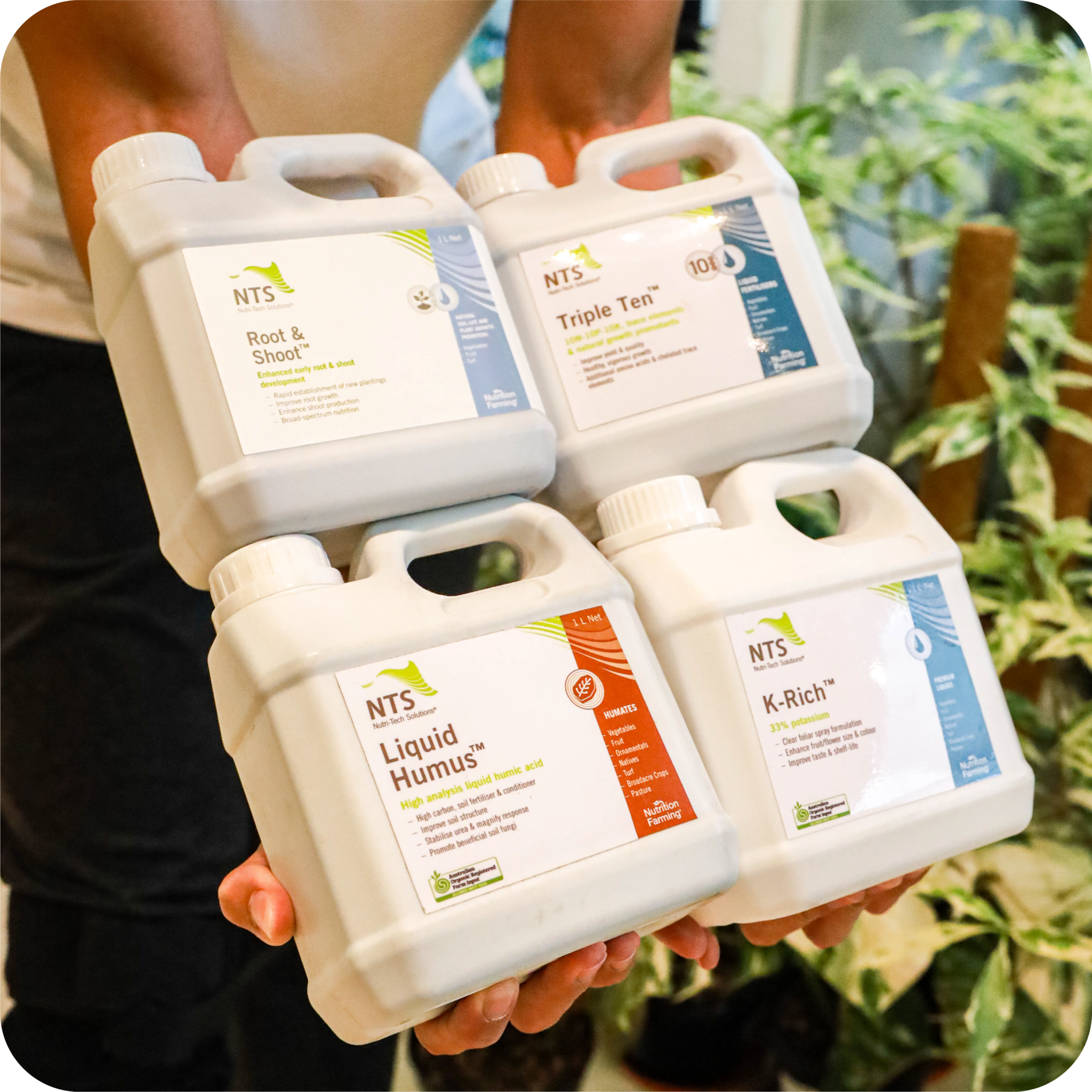 The Nature Company