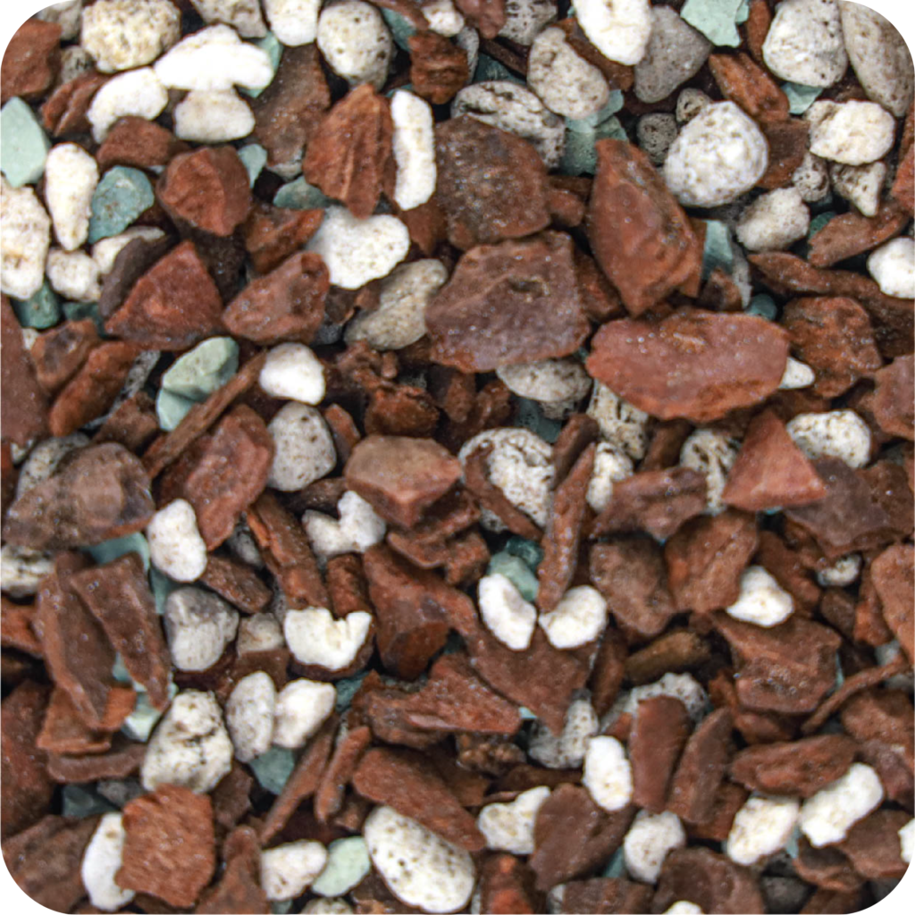naturalGRO Aroid Mix – The Nature Company
